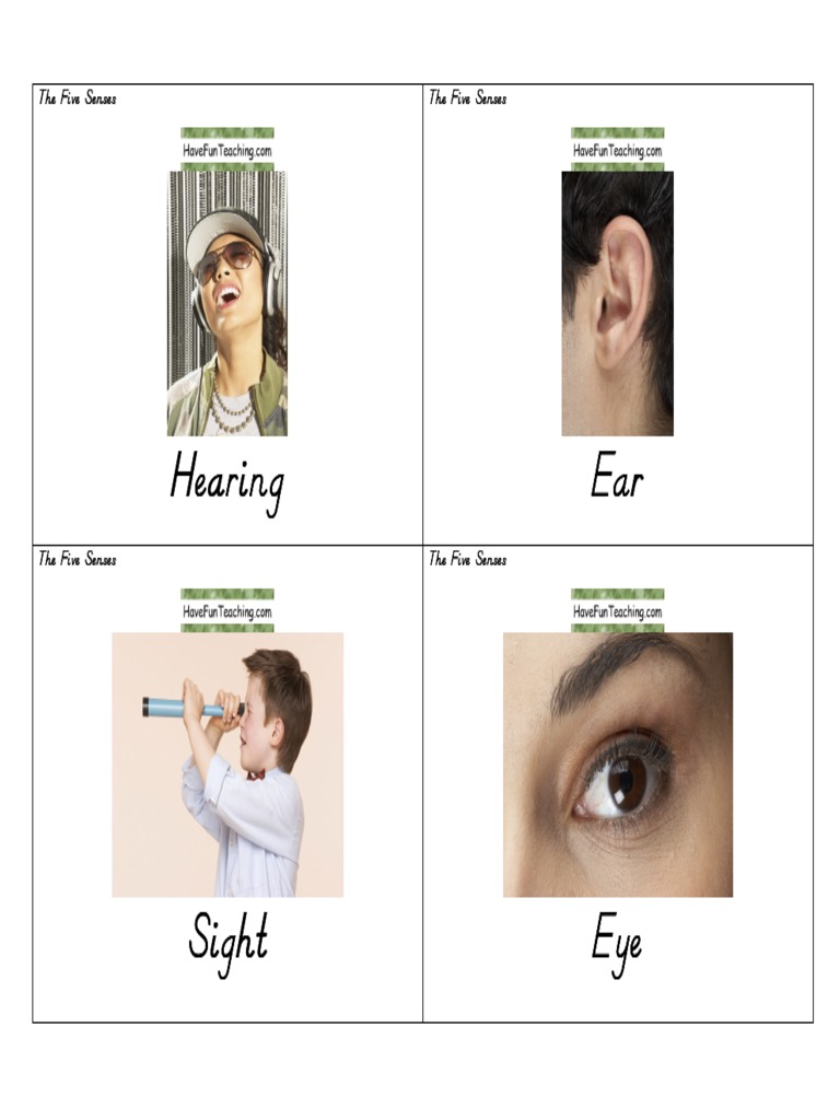 Health Flash Cards Five Senses | PDF | Language Arts & Discipline ...
