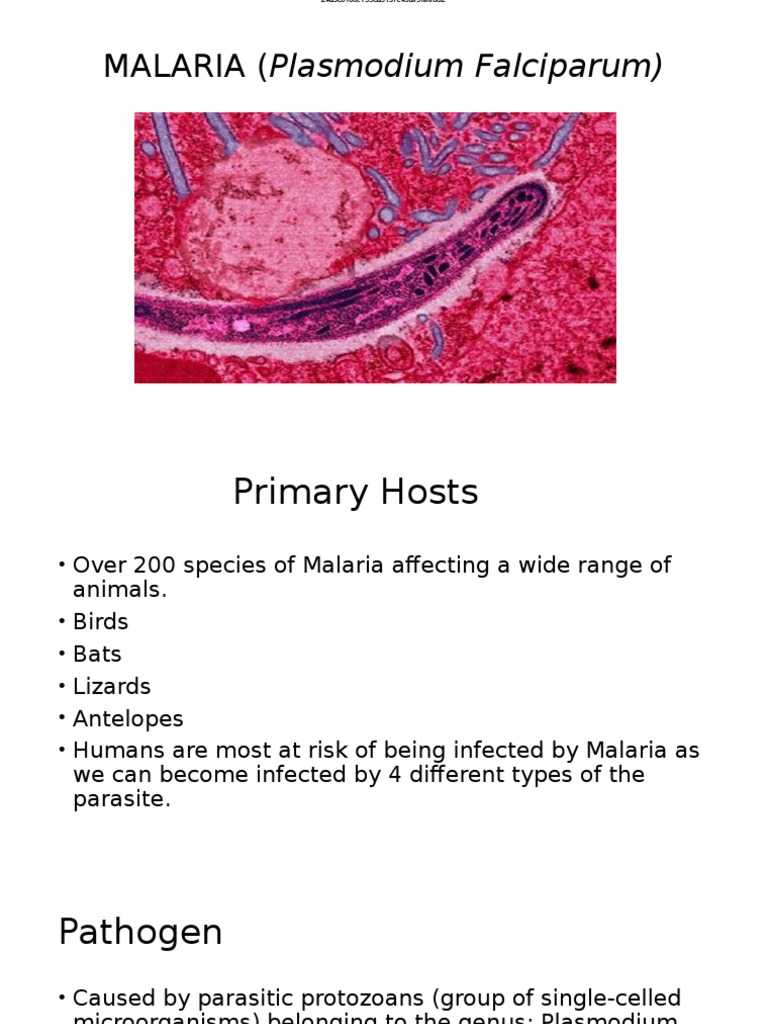 Malaria: Hosts and Life Cycle Overview | PDF