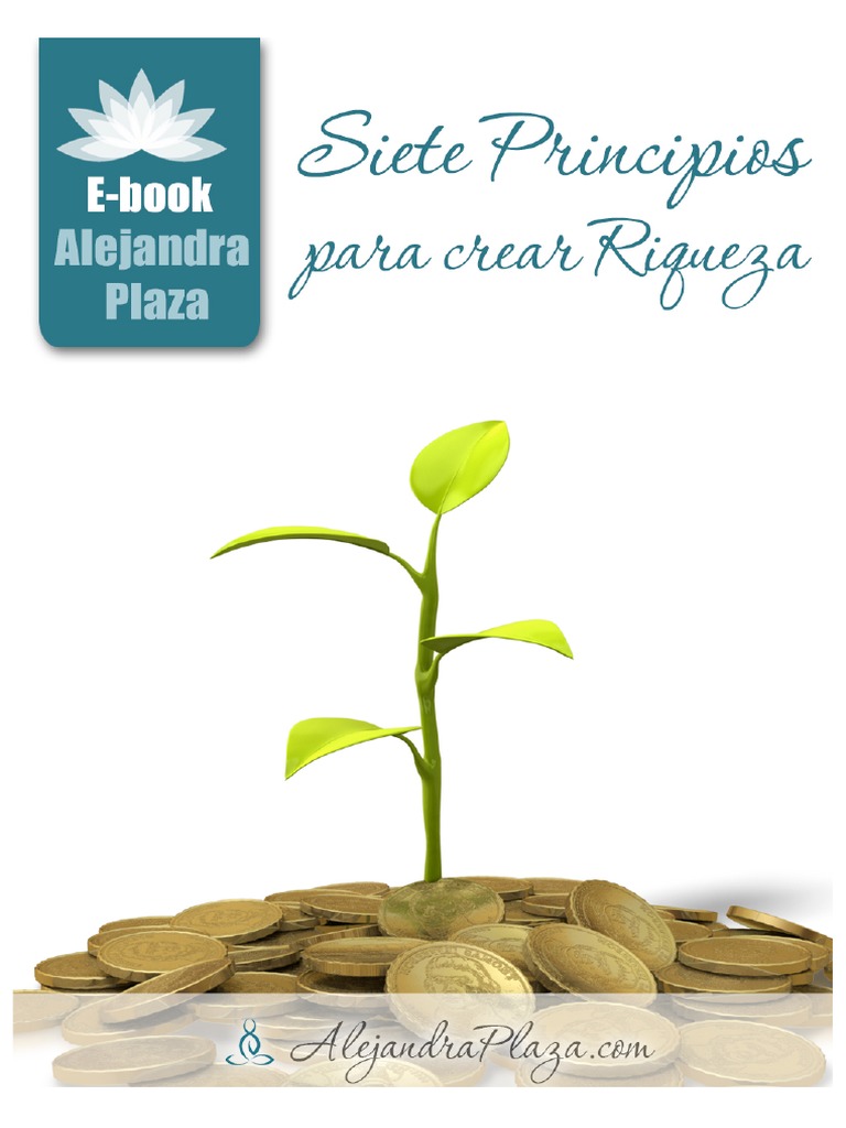 7 Principios Crear Riqueza | PDF | Riqueza | Ciencias económicas