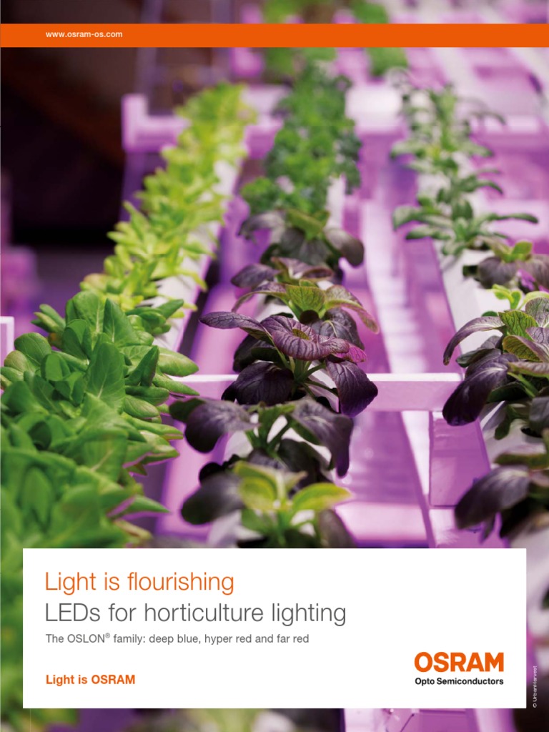H2 - Leds Iluminacion de Horticultura - Catalogo de OSRAM | PDF | Light ...