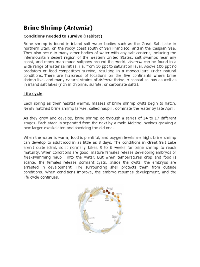 Brine Shrimp | Earth & Life Sciences | Biology