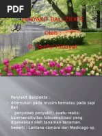 Peraturan No Reg Dan No Batch Dalam Sediaan Obat | PDF