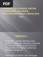 Peraturan No Reg Dan No Batch Dalam Sediaan Obat | PDF