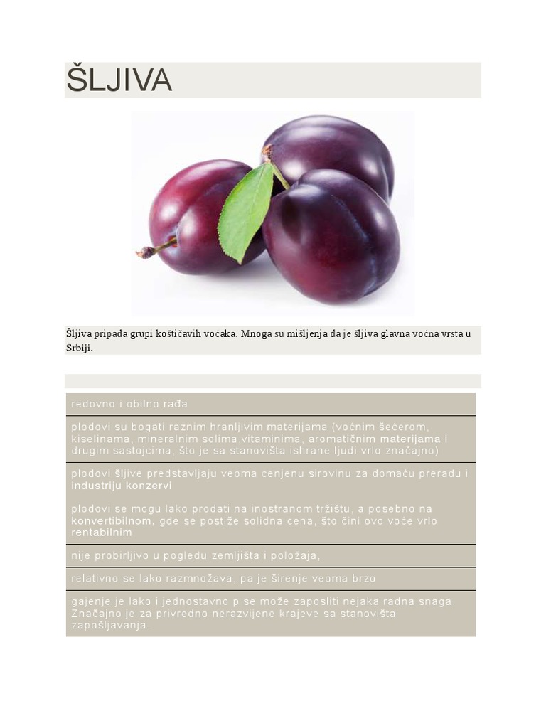 Gajenje Sljive | PDF