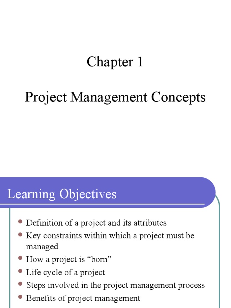 Project Management | PDF | Project Management | Business