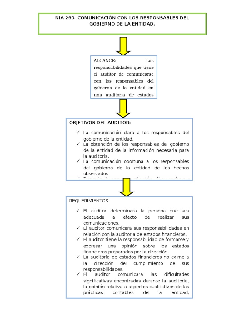 Mapa Conceptual NIA 260