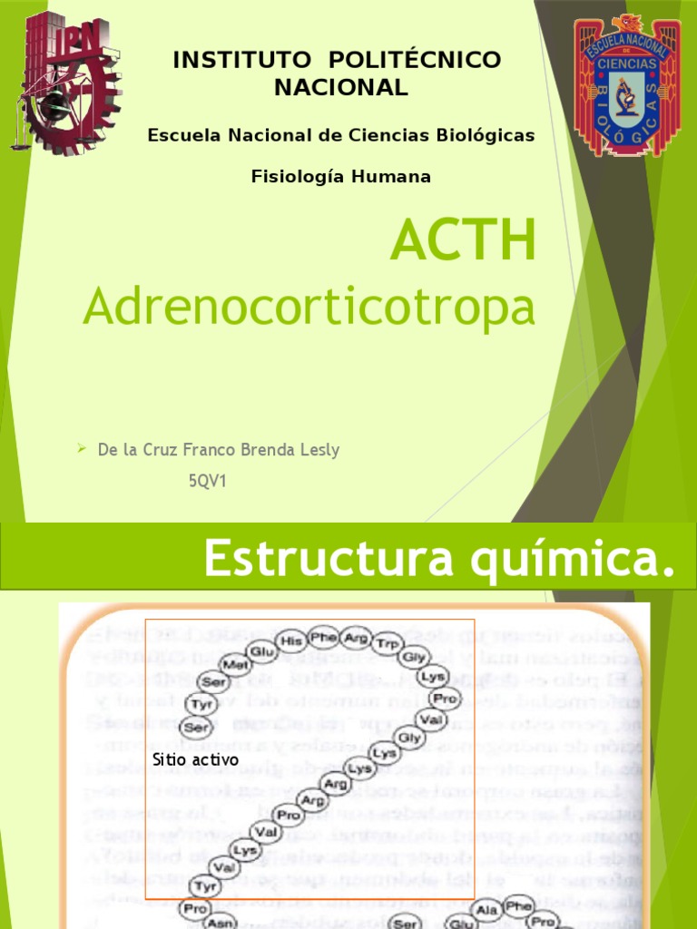Acth | PDF | Hormona adrenocorticotrópica | Glándula suprarrenal