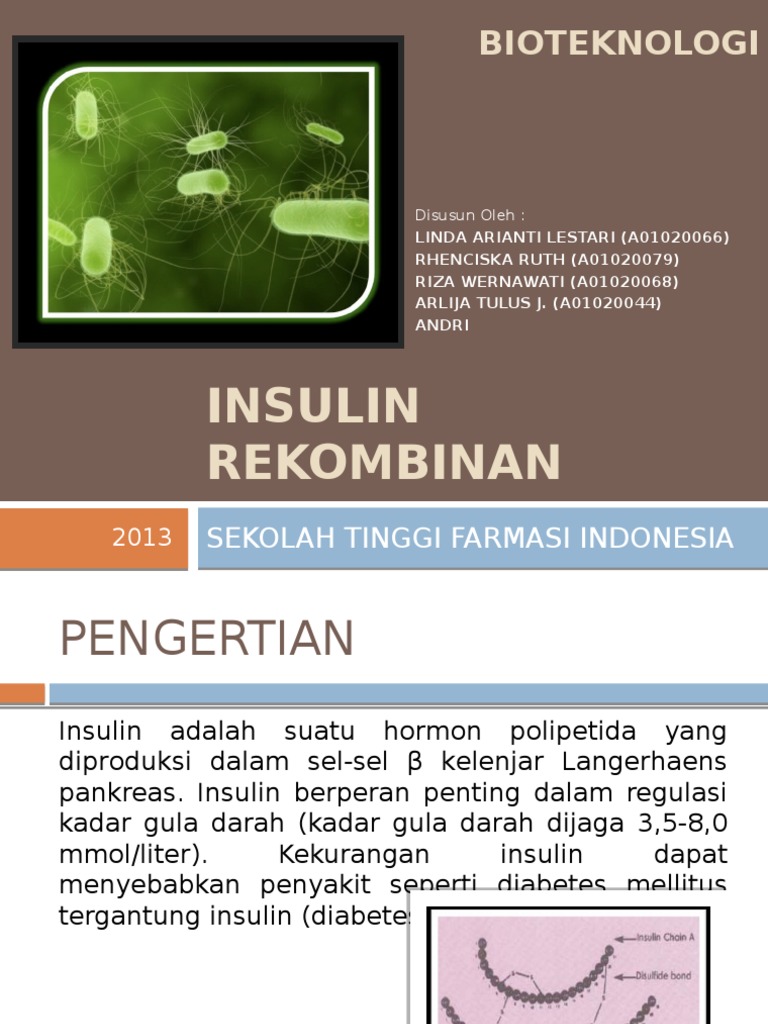 Insulin Rekombinan | PDF