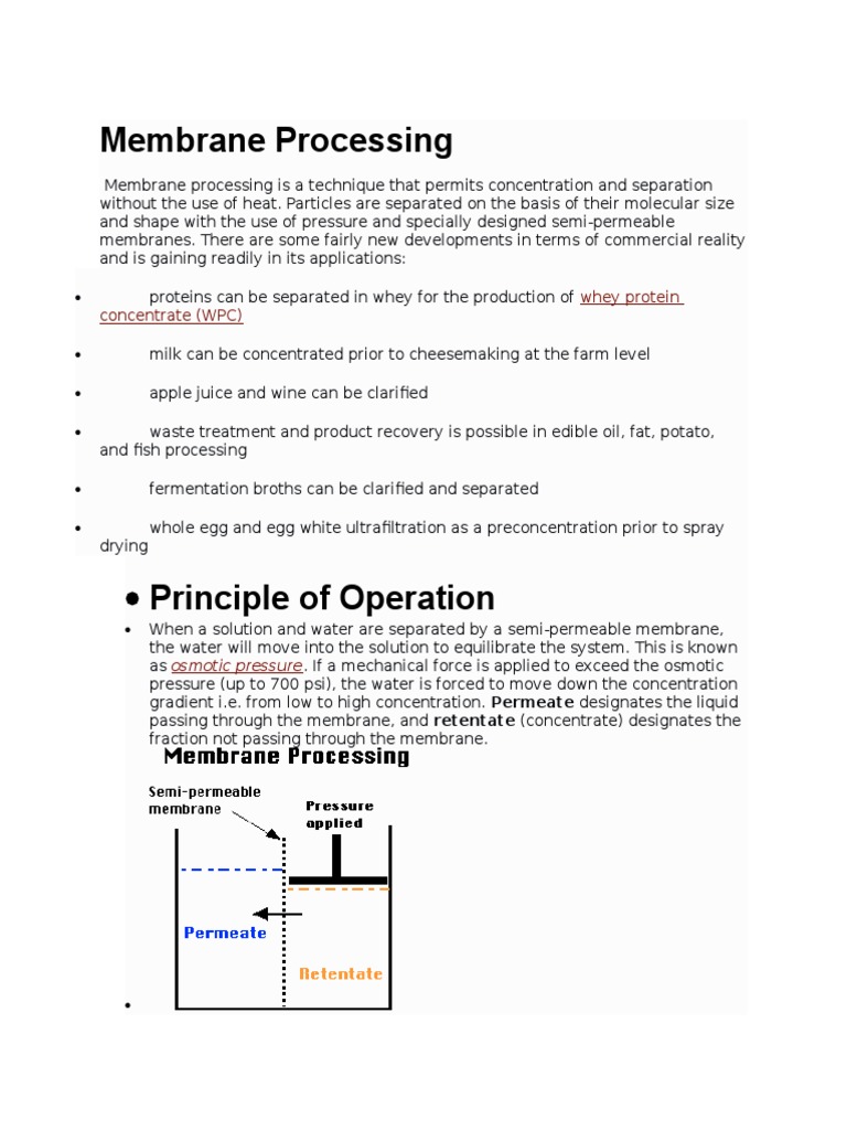 Membrane Processing: Whey Protein Concentrate (WPC) | PDF | Membrane ...
