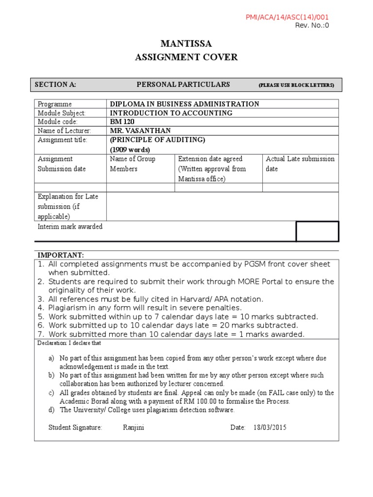 Auditing Assignment Guidelines and Insights | PDF | Financial Audit | Audit