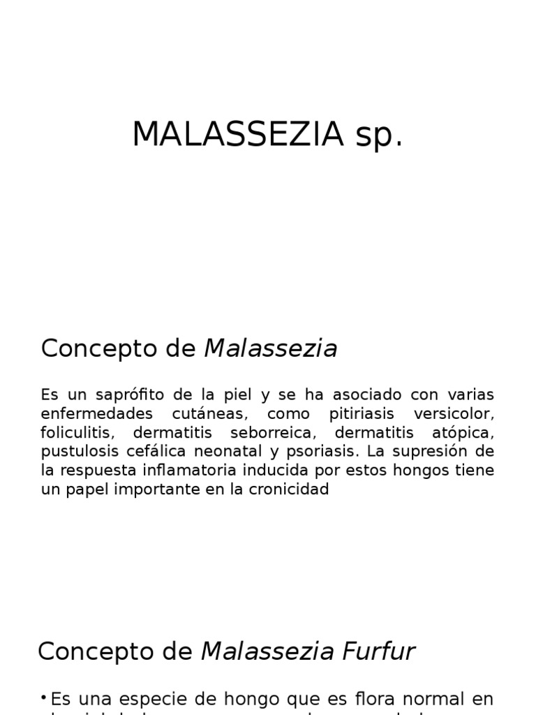 Malassezia SPP | PDF | Dermatología | Condiciones cutáneas