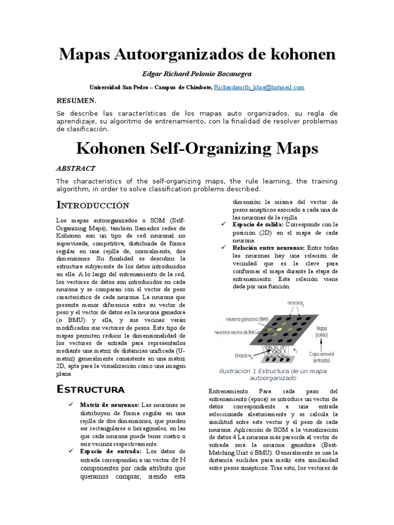 Mapas Autoorganizados de Kohonen | PDF | Red neuronal artificial | Algoritmos