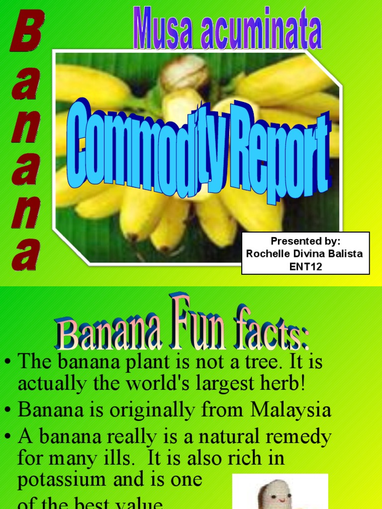 Saging Ging Ging Ging Ging | PDF | Banana | Vitamin