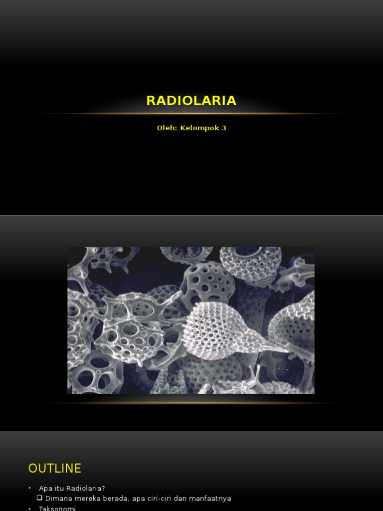 Slide De Radiolario Radiolaria From The Sea Under The Microscope Stock