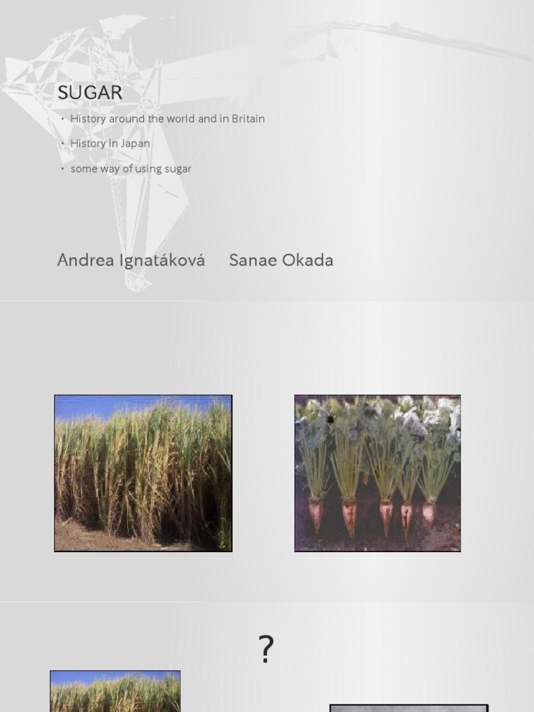 A Global History of Sugar: Tracing its Origins, Spread, and Uses Around ...