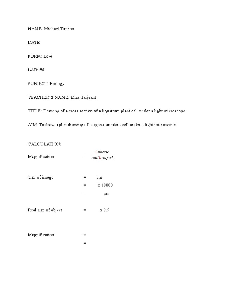 Lab 4 Drawing of A Cross Section of A Ligustrum Plant Cell Under A ...