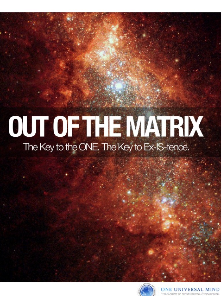 Out of The Matrix Report | PDF | Business