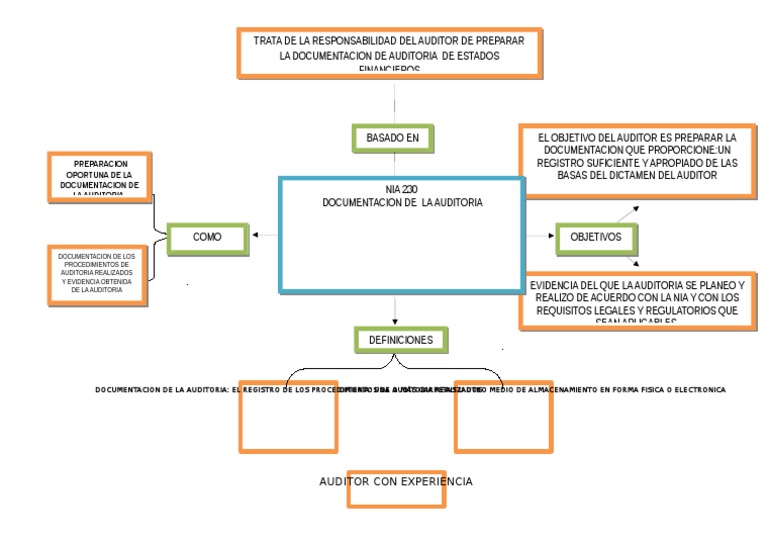 Documentación de Auditoría según NIA 230 | PDF | Negocios | Derecho