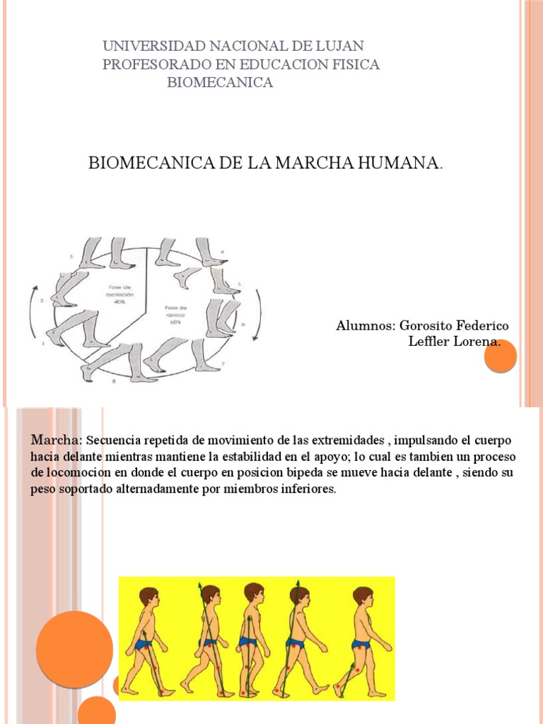 Biomecanica de La Marcha Humana-1 | Pie | Rodilla
