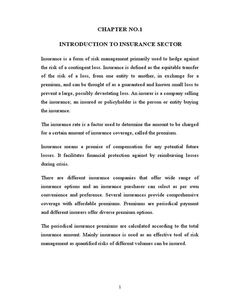 Auto Insurance Project | PDF | Vehicle Insurance | Insurance