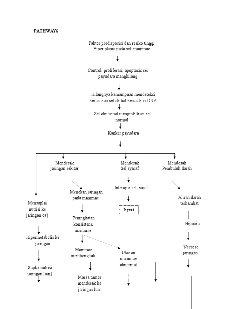 Pathways CA Mamae | PDF