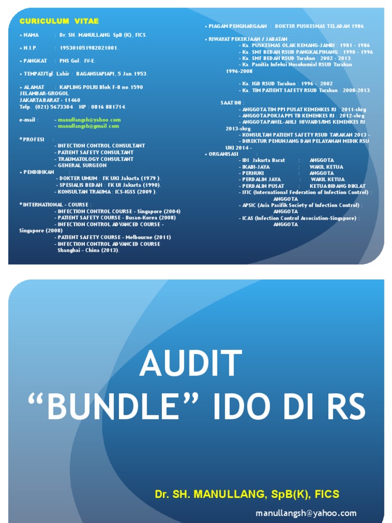 Audit Bundle Ido | PDF
