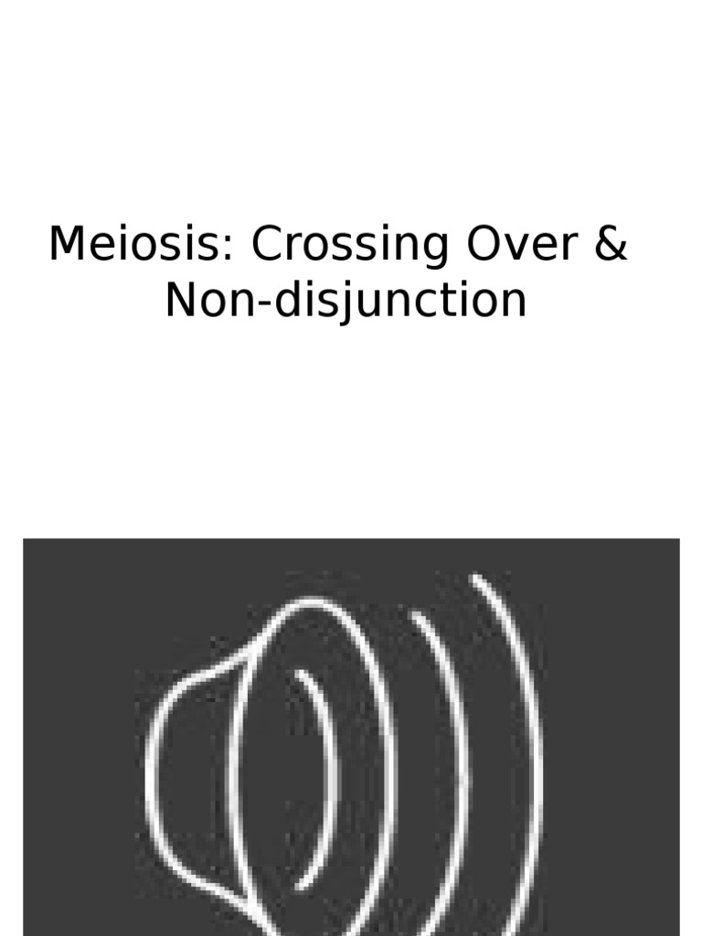 Meiosis: Crossing Over & Non-Disjunction | PDF | Self-Improvement ...