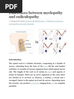 Y-Site Compatibility Chart: Drugs | PDF | Pharmacology | Organic Compounds