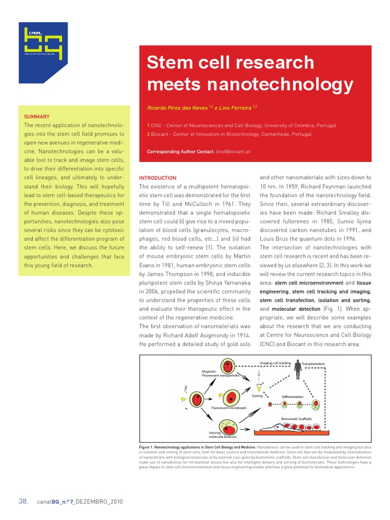 canalBQ 0007-38-46 5 | PDF | Tissue Engineering | Extracellular Matrix
