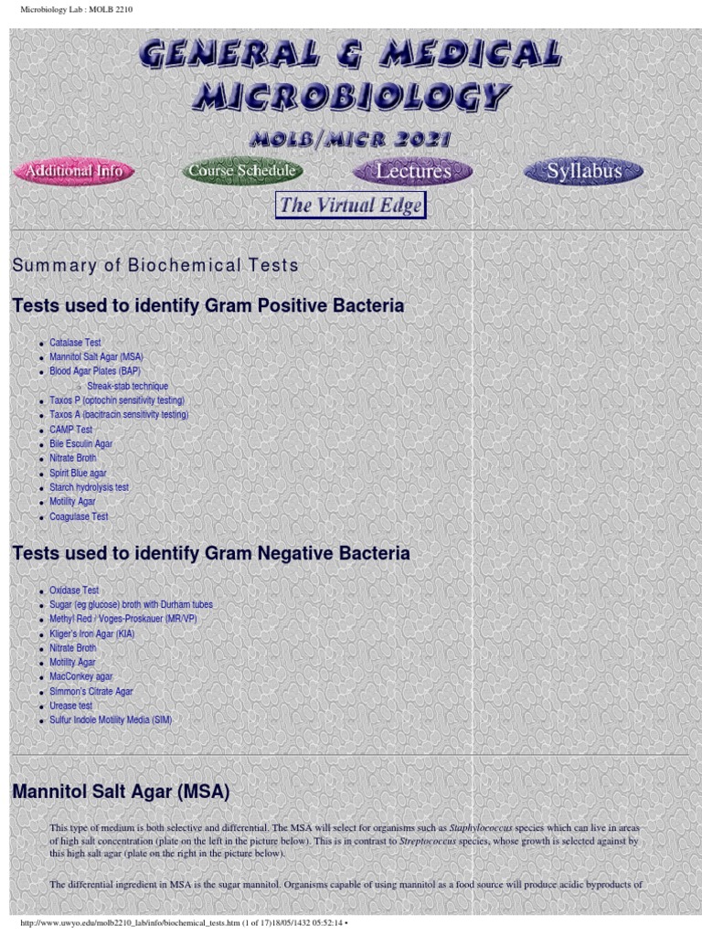 Microbiology Lab - MOLB 2210 | PDF | Streptococcus | Nitrate