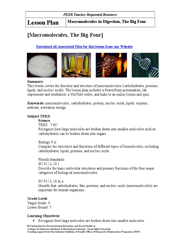 Macro Lesson Plan | PDF | Carbohydrates | Lipid