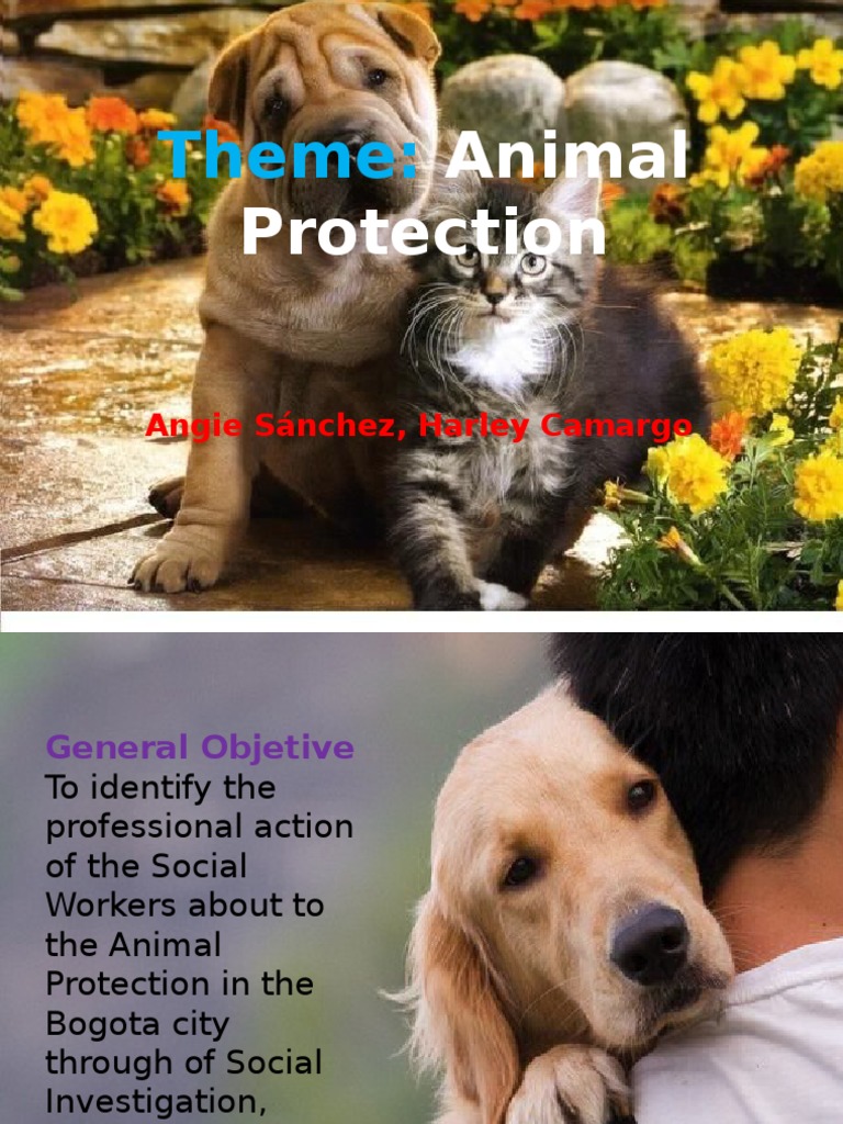 Social Workers' Role in Animal Protection | PDF
