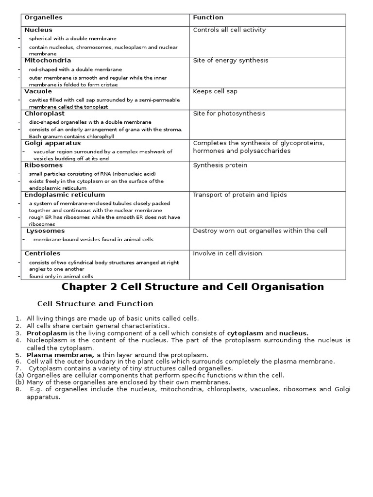 Biology Form 4 Chapter 2 | PDF | Tissue (Biology) | Epithelium