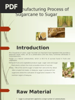 Sucrose Extraction From Sugar Cane | PDF | Sugarcane | Sucrose