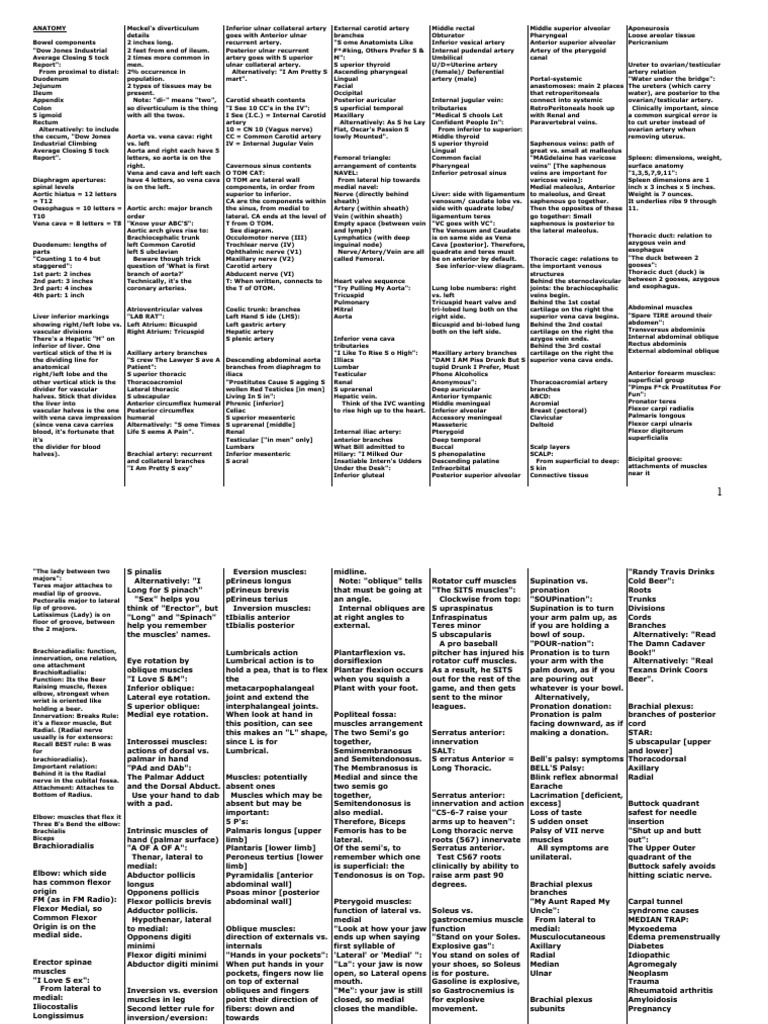 Mnemonic | PDF | Anatomical Terms Of Motion | Aorta