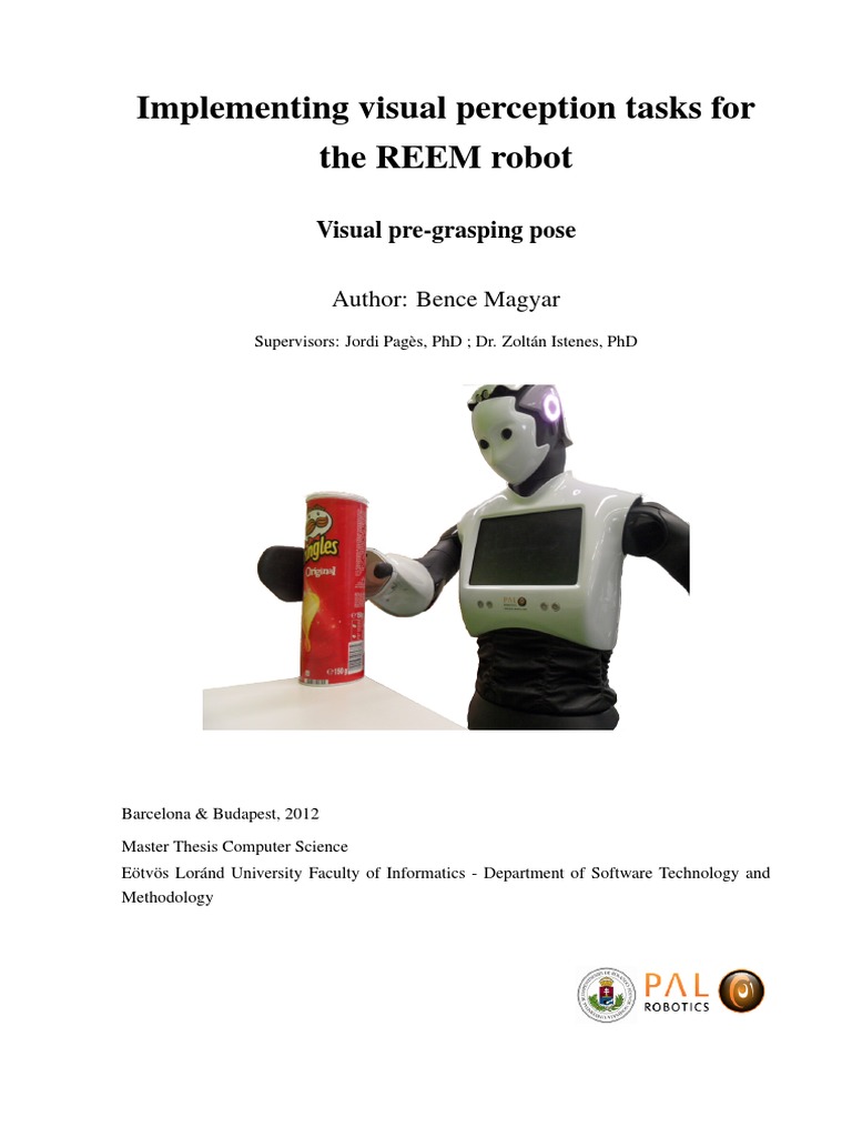Object Recognition On The REEM Robot | PDF | Areas Of Computer Science ...