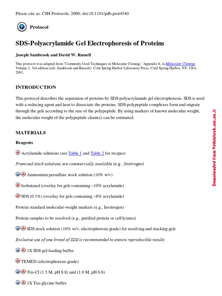 SDS-Polyacrylamide Gel Electrophoresis of Proteins | PDF | Gel ...
