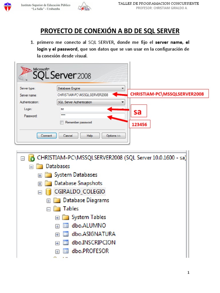 Mantenimiento Visual Basic 2010 Con SQL Server 2008 Parte 1 | PDF