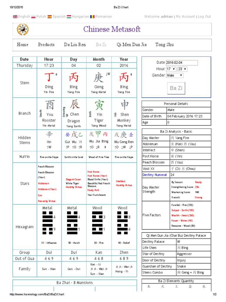 Ba Zi Chart | PDF