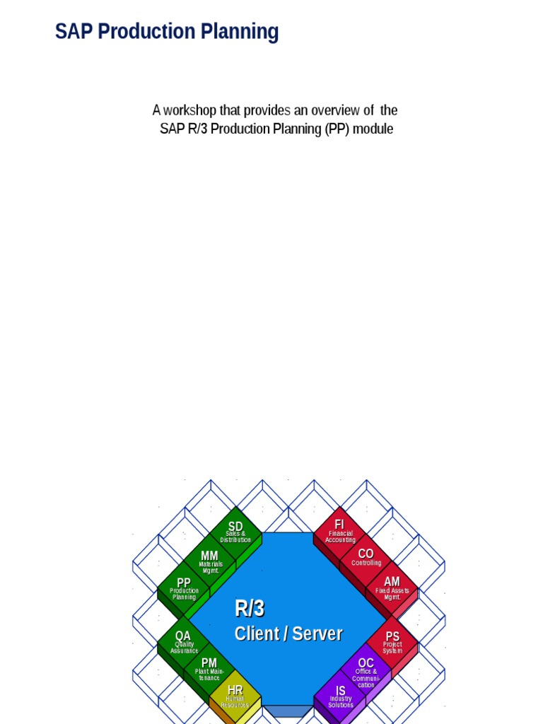 SAP Production Planning: A Workshop That Provides An Overview of The ...