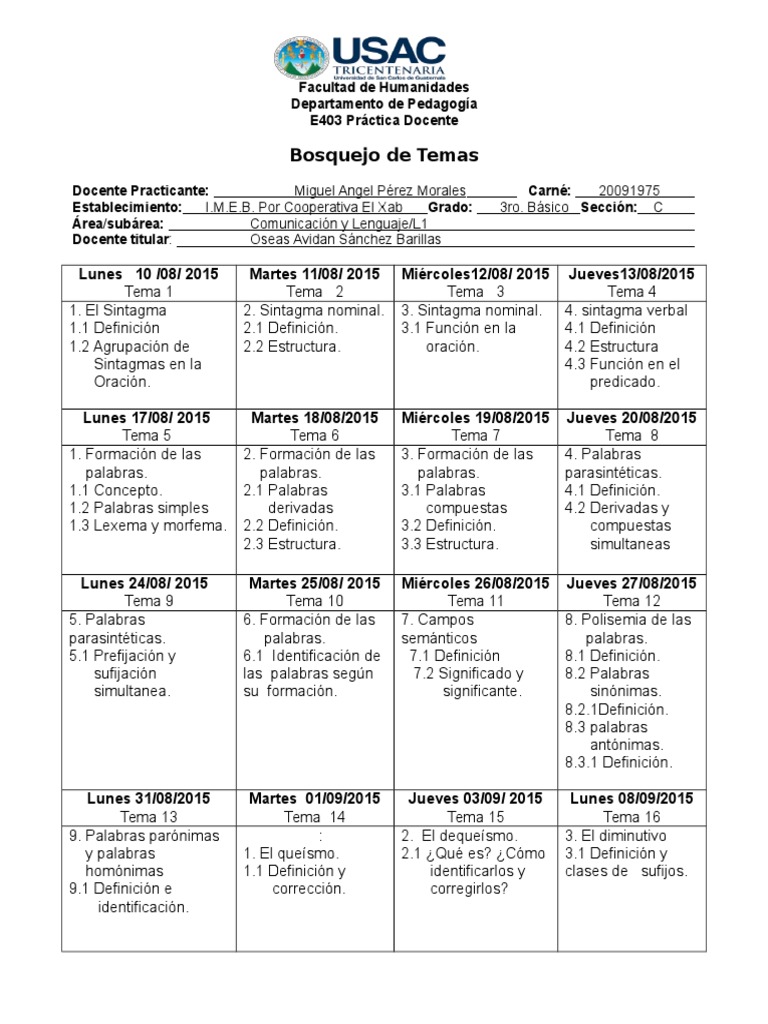 Bosquejo de Temas | PDF | Relaciones sintácticas | Gramática