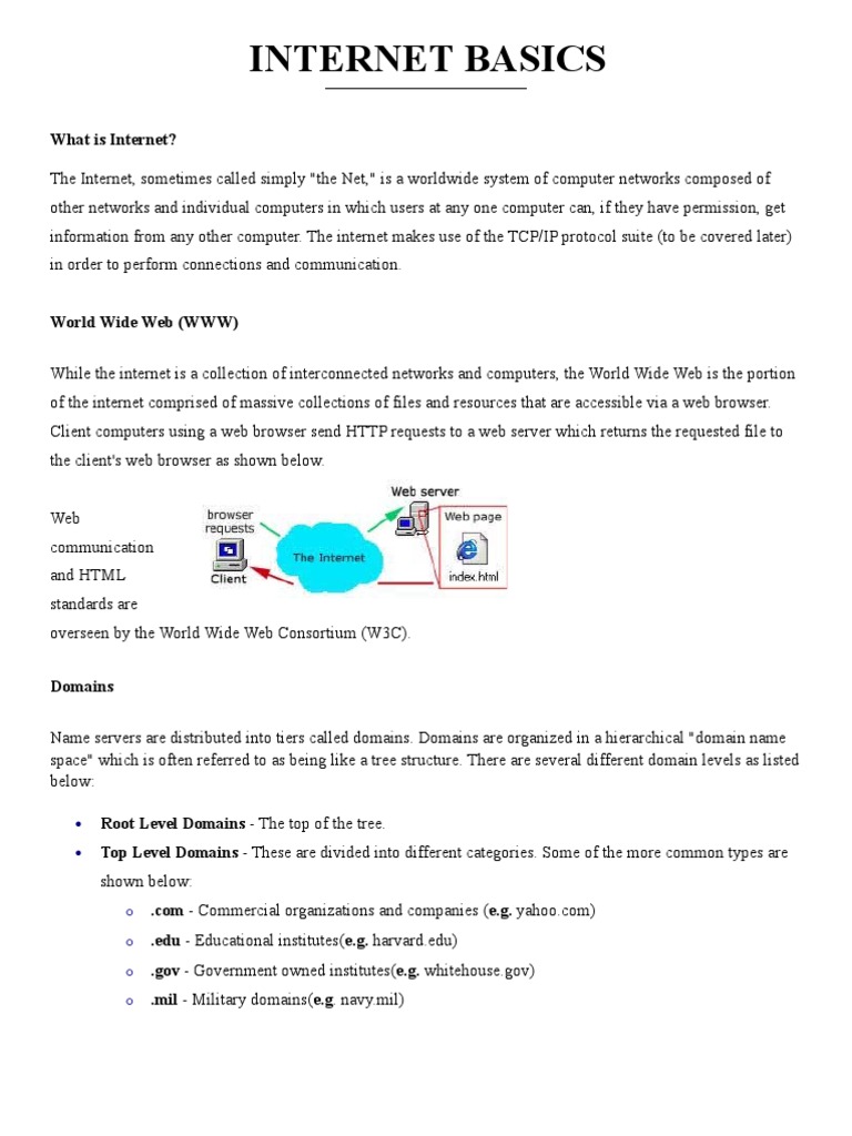 Internet Basics | PDF | Transmission Control Protocol | Virtual Private ...