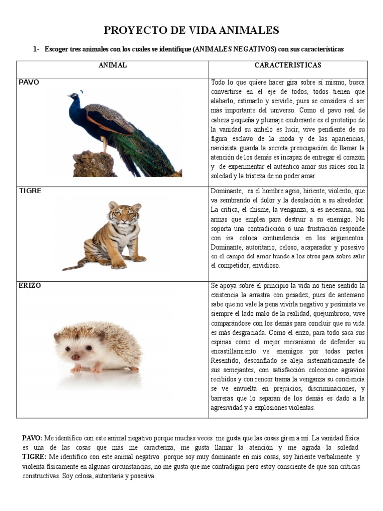 Proyecto de Vida Animales | PDF | Toma de decisiones | Intuición