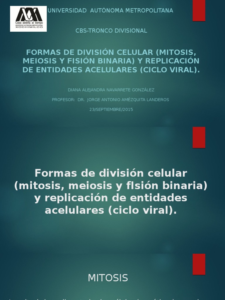 Formas de División Celular (Mitosis, Meiosis y Fisión Binaria) y ...