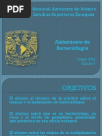 CÓSMIDOS | PDF | Plásmido | Biotecnología