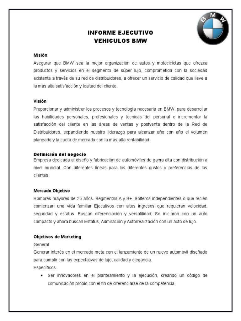 Ejemplo De Informe Ejecutivo Informe Oral Sobre Las Actividades De La