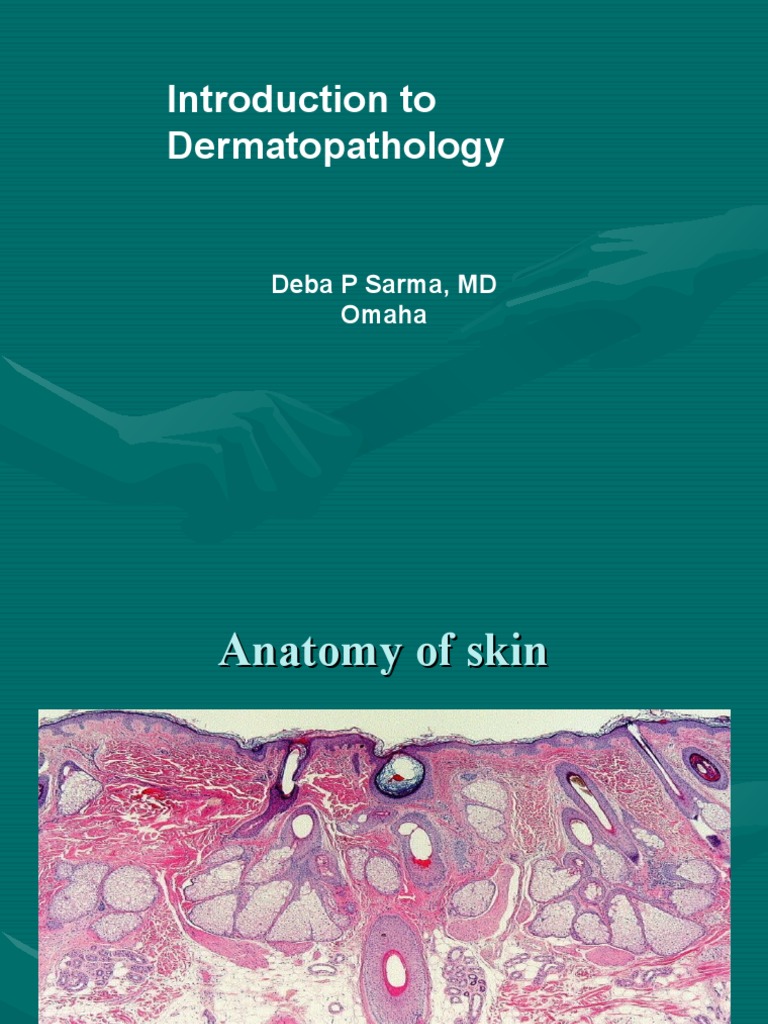Dermatopathology Overview and Study Guide | PDF | Law | Science ...