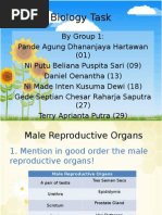 Biology Investigatory Project | PDF | Prenatal Development ...