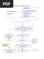 UTI Pathophysiology Flowchart | PDF | Urinary Tract Infection | Urinary ...