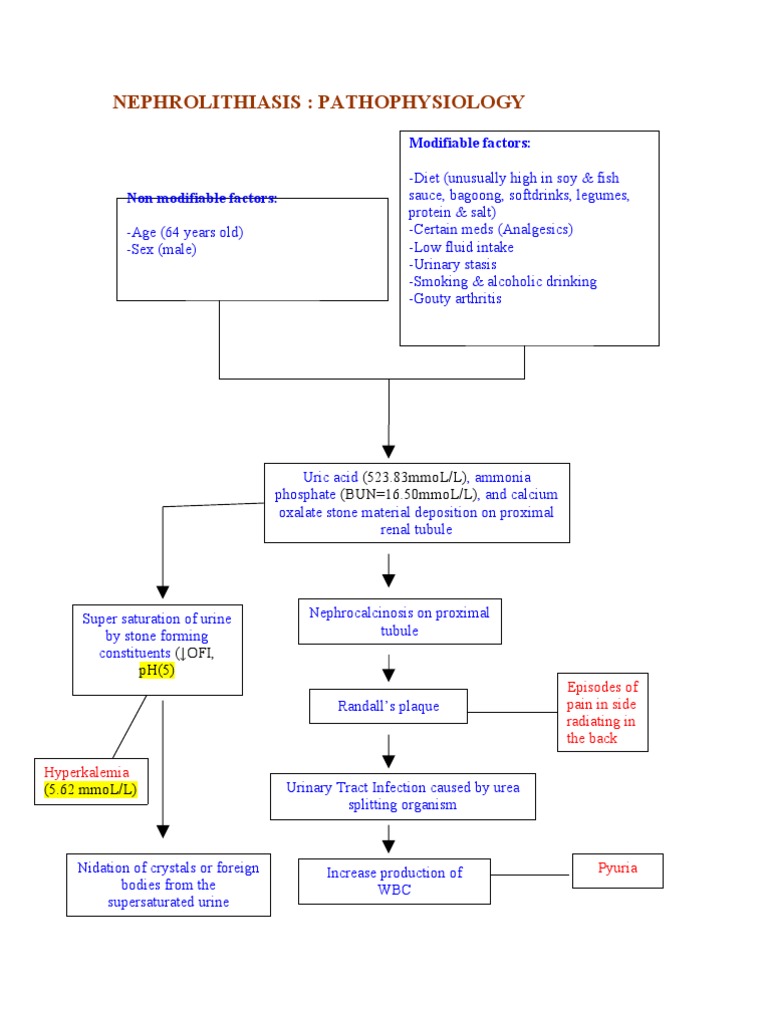 Pathophysiology of Nephrolithiasis | PDF | Kidney | Medicine